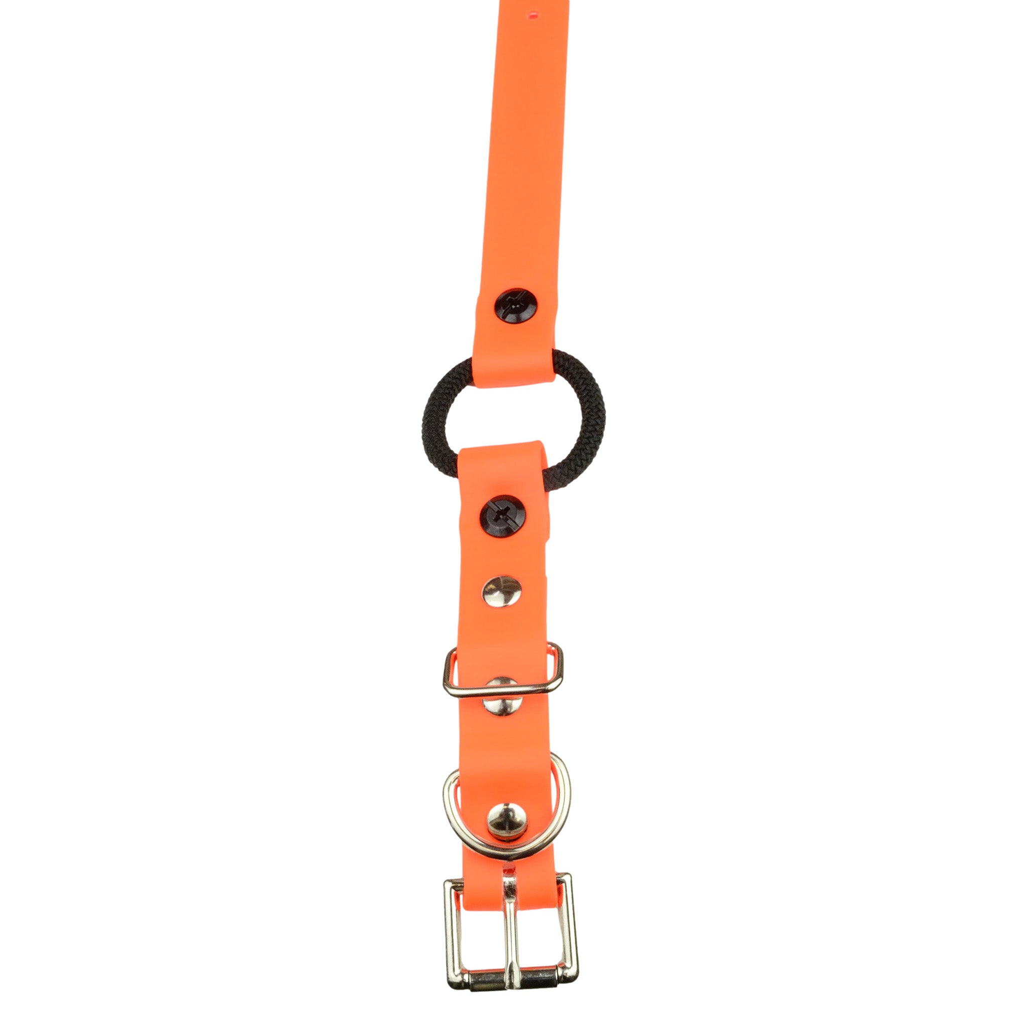 E-Collar Technologies 33" Biothane Collar with Buckle and Bungee ...