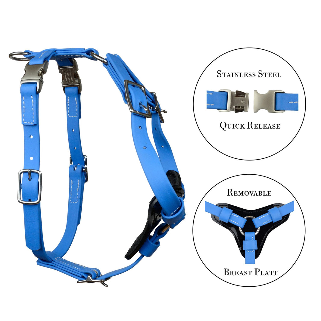 Biothane Collars & Harnesses – DogSport Gear