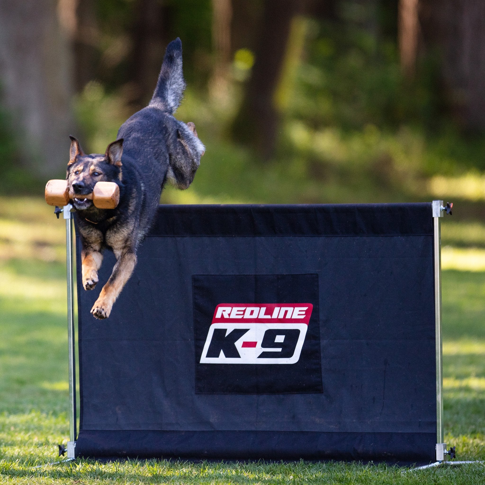 Redline K-9 Portable Adjustable IGP Jump - Black – DogSport Gear