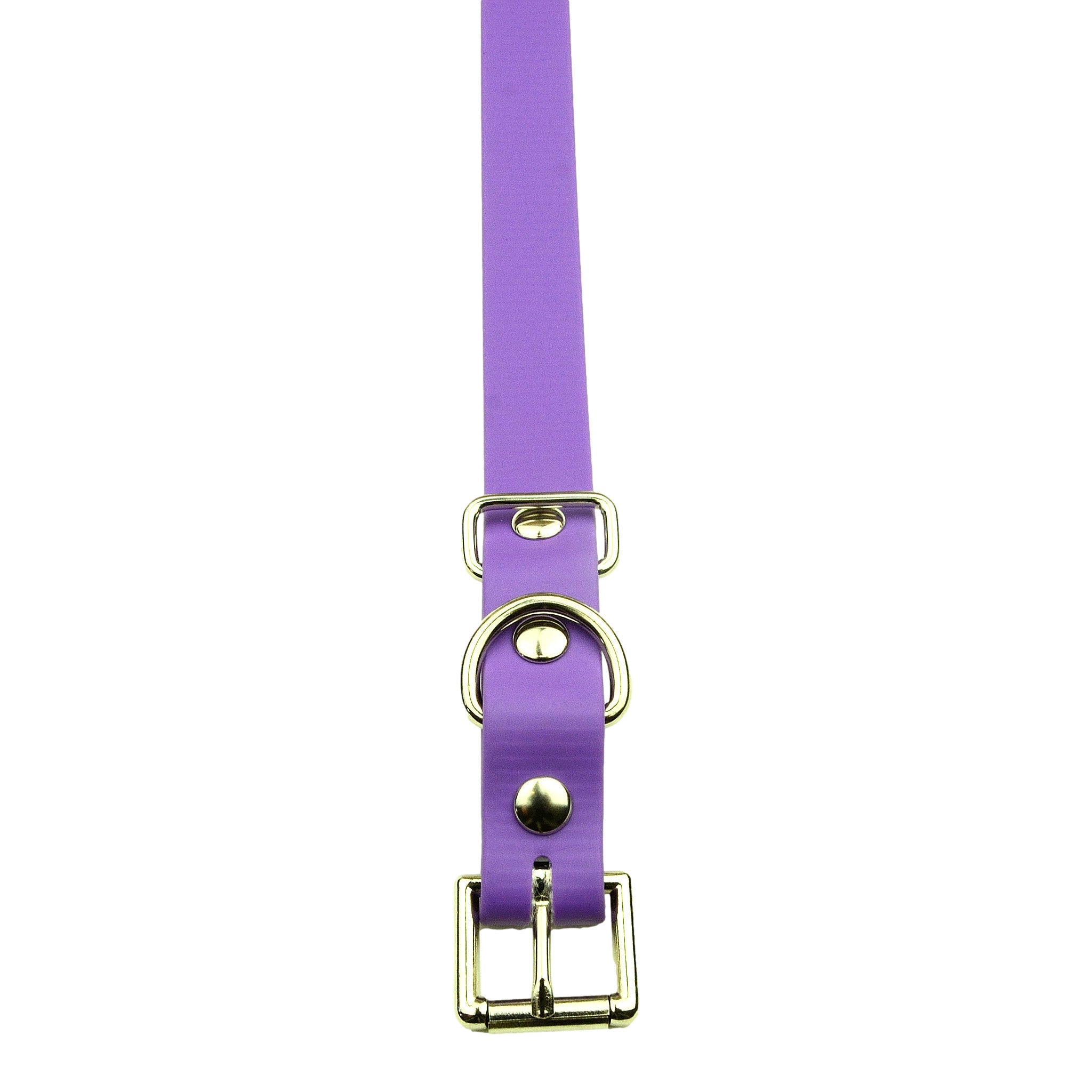 E-Collar Technologies 33" Biothane Collar with Buckle – DogSport Gear