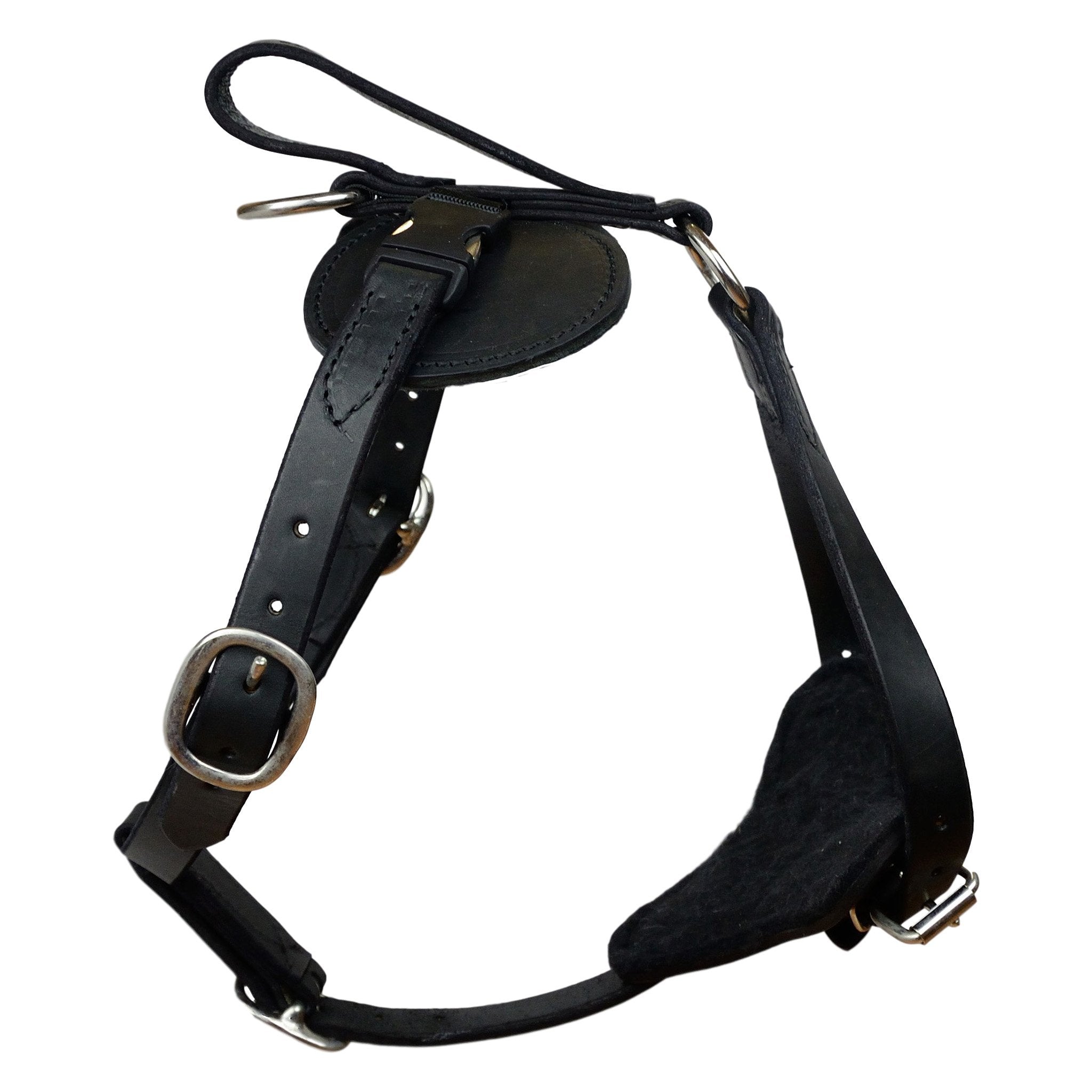 Redline K-9 Padded Leather Quick Release Harness – DogSport Gear